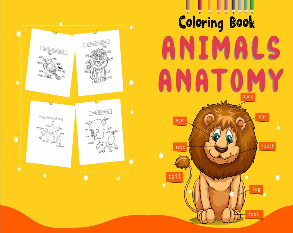 Animal Anatomy Activity Book: Discover Animal Anatomy - PDF Activity ...