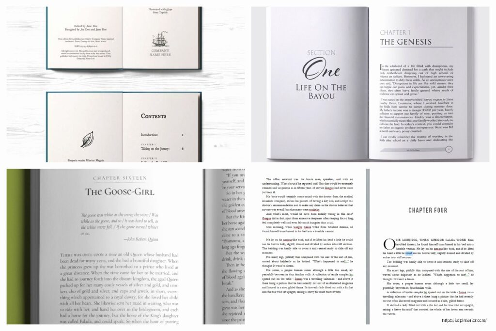 Book Format Template: Publishing Standards Guide KDP Interior