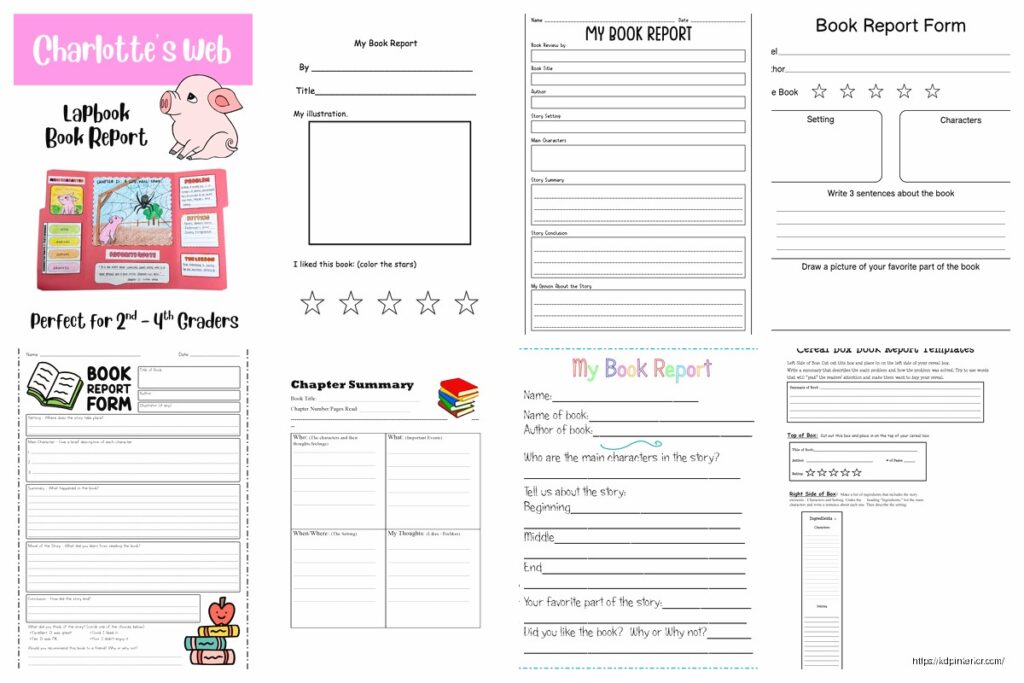 Book Report Sample: Academic Example Papers KDP Interior